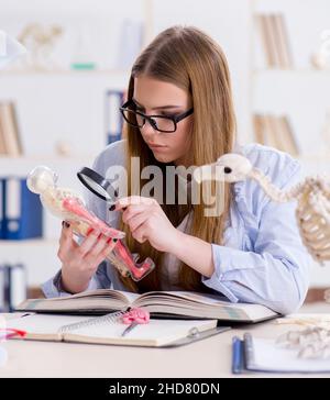The student examining animal skeleton in classroom Stock Photo - Alamy