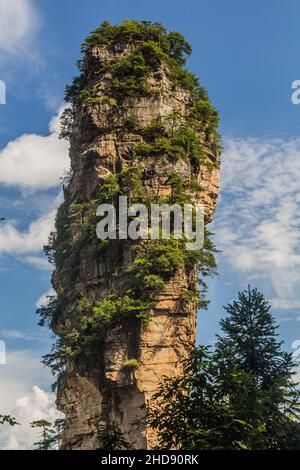 pinnacle, zhangjiajie national forest park, pinnacles Stock Photo - Alamy