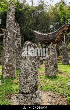 Bori Kalimbuang UNESCO megalithic burial site with 102 menhirs, a ...