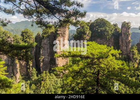 Rocky pinnacles in Zhangjiajie National Forest Park in Hunan province ...