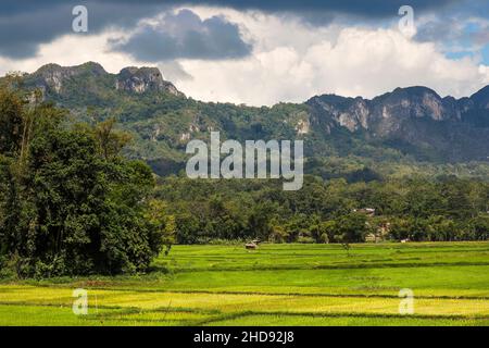 Limestone peaks including 1231m Gunung Buntu Sarira and rice paddies in ...