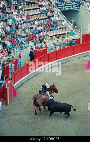 lancer on horseback, called picador, and bull, bullfight, Plaza de ...