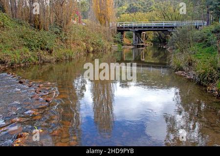 The Cobungra River at Anglers Rest Stock Photo - Alamy