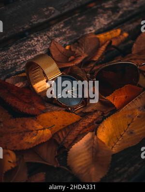 Aventino gold watch and golden sunglasses in an autumn scene Stock ...