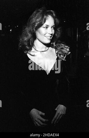 Catherine Bach Circa 1980's Credit: Ralph Dominguez/MediaPunch Stock ...
