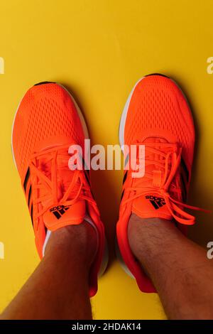 Tyumen, Russia-November 13, 2021: Adidas Running Shoes. Adidas logo multinational company Stock ...