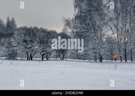 Frosty day. Real winter and snowfall. High quality photo Stock Photo ...