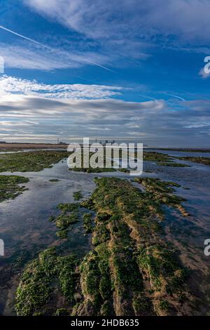 redcar vertical pier and scar rocks sssi, redcar, north yorkshire, uk ...