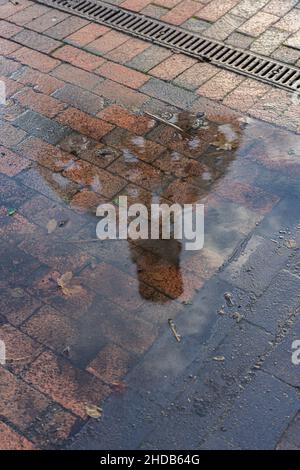 "Bottle o' Notes' sculpture by Claes Oldenburg (1993) in the ...