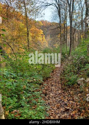 Highbanks Metro park, River Bluff Area, in Autumn, Columbus, Ohio Stock ...