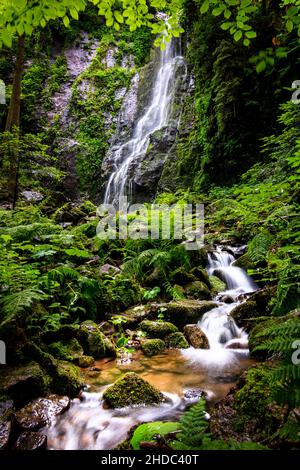 The Burgbach waterfall in the middle of the green forest. Waterfall in ...