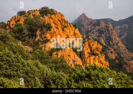 Calanche, bizarre rock formations at 400 m altitude, Corsica, France ...