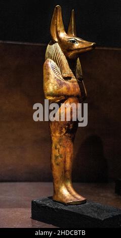 Duamutef. Jackal-headed god. Ancient Egyptian limestone cover of the ...