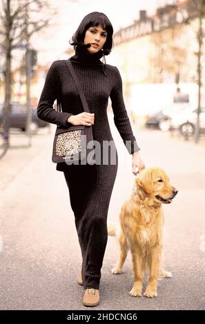 Golden Retriever - Hund - Haustier Stock Photo - Alamy