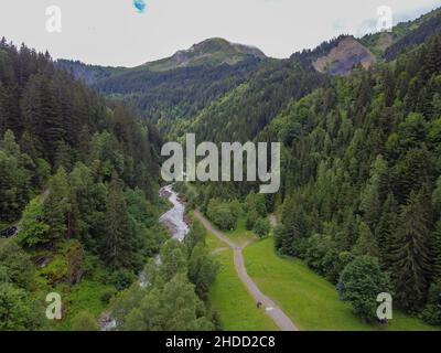 spruce tree forest and french Savoy alpes mountain top in sunny day ...