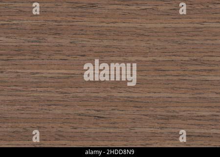 Walnut 2 wood panel texture pattern Stock Photo - Alamy