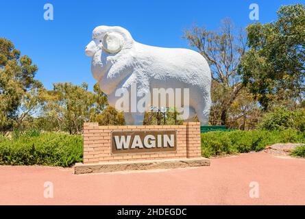 The Big Ram, Wagin Western Australia Stock Photo - Alamy