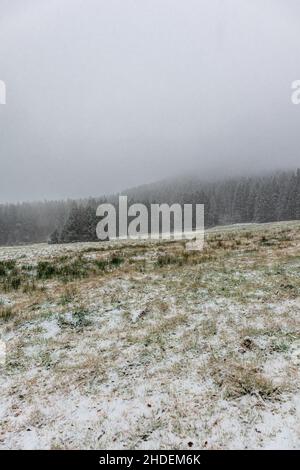 Winter hike through the Thuringian Forest near Oberhof and ...