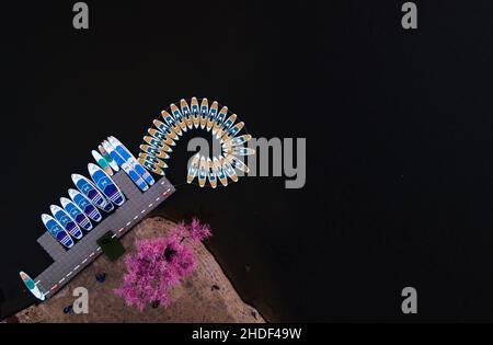 Yunnan Province, China, 3 March 2021, Colorful tulip flowers are seen ...