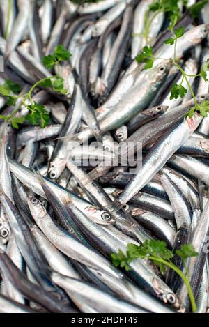 prepared fish, anchovy, prepared fishs, anchovies Stock Photo - Alamy