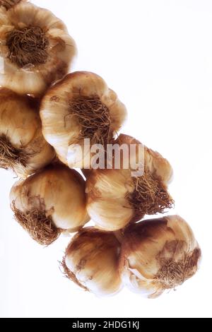 garlic plait isolated on white Stock Photo - Alamy