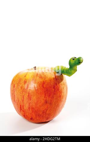apple, worm, apples, worms Stock Photo - Alamy