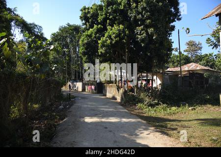 Local road of Dakshin Kanta Dighi Kumarpara area. Lataguri, Jalpaiguri ...