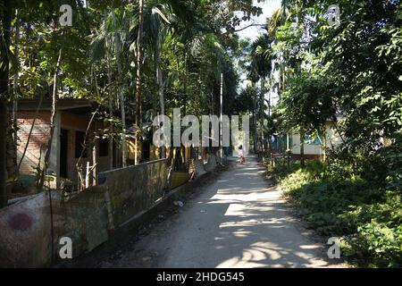 Local road of Dakshin Kanta Dighi Kumarpara area. Lataguri, Jalpaiguri ...