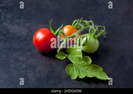tomatoes, degree of maturity, tomato Stock Photo - Alamy