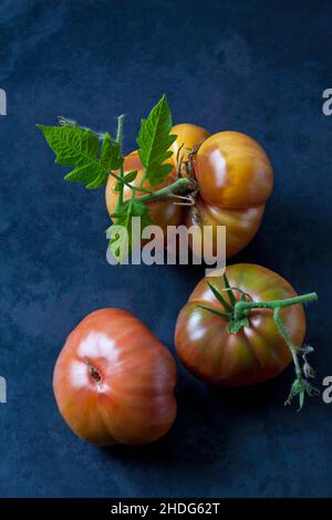 tomatoes, chocolate stripes tomatoes, tomato Stock Photo - Alamy