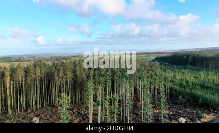 Aerial Photograph Of a Forestry and Village called Cross Inn ...