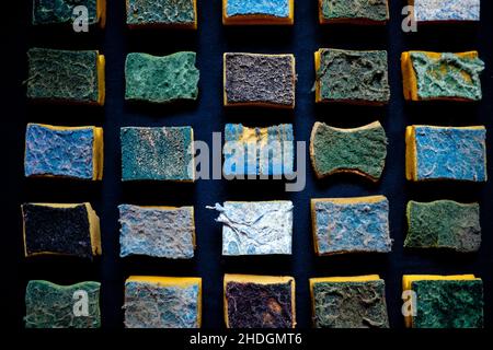 order, cleaning, sponge, used, collection, orders, clean up, purgation ...