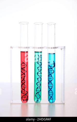 genetic research, genetic modification, genetic researchs, genetic ...