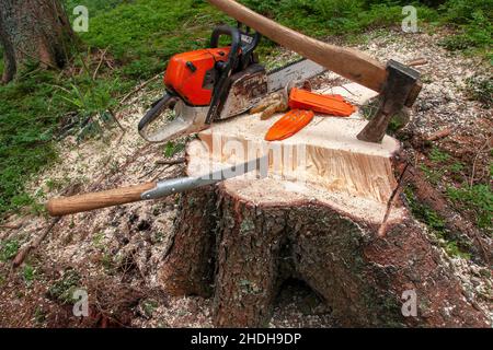 deforestation, chainsaw, fell timber, deforestations, chainsaws, fell ...