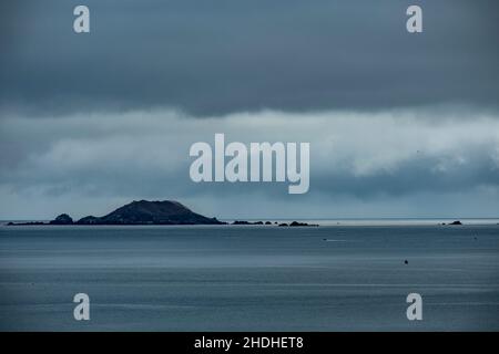 France, Cotes d'Armor, Sept Iles Ornithological Reserve, Ile Rouzic ...