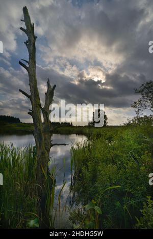 The High Fens Stock Photo - Alamy