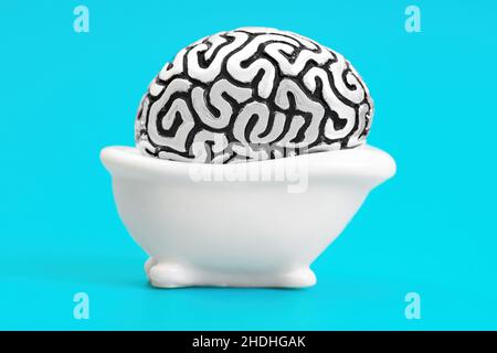 Anatomical copy of a human brain lying in a toy bathtub isolated on a ...