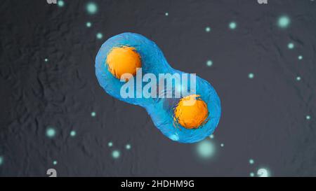 microbiology, nucleus, microbiologies, nucleuses Stock Photo - Alamy