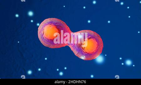 microbiology, nucleus, microbiologies, nucleuses Stock Photo - Alamy