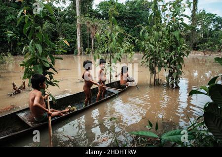 Indigenous Children rowing down Amazon river, Ecuador Stock Photo - Alamy