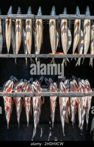 Smoked fish in smokehouse at the outdoors Stock Photo - Alamy
