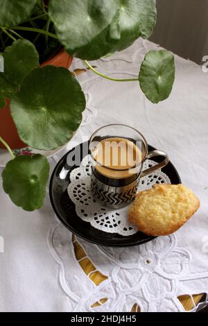 coffee, mocca, coffees, moccas Stock Photo - Alamy