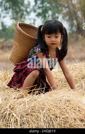 girl, child labor, girls, child labors Stock Photo - Alamy
