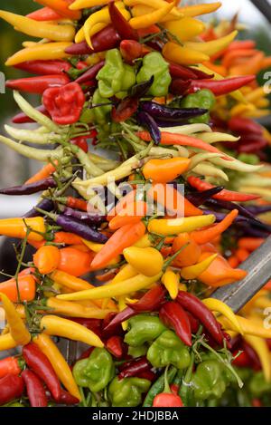 bell pepper, pepperoni, paprika, pepperonis Stock Photo - Alamy