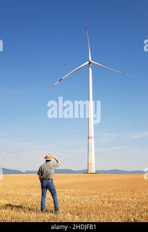 agriculture, wheat field, agricultures, wheat fields Stock Photo - Alamy