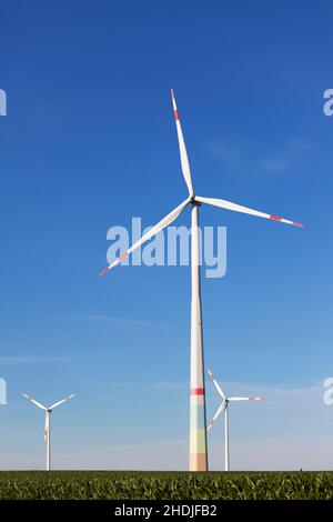 rape field, pinwheel, renewable energy, rape fields, pinwheels ...