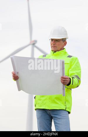 reading, plan, engineer, read, reading a book, reading something, to ...
