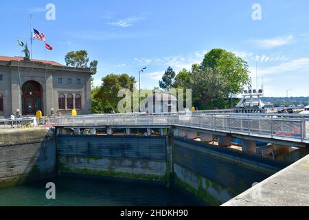 The very active Ballard Locks between Lake Union and Puget Sound in ...