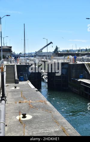 The very active Ballard Locks between Lake Union and Puget Sound in ...
