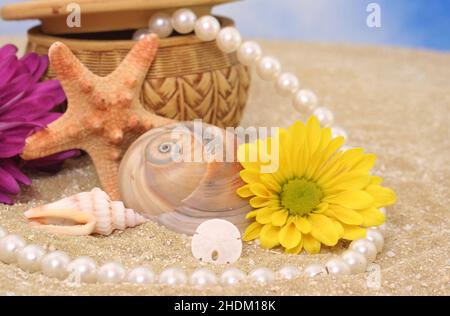 Flowers and Sea Shells on Sand With Sunset Stock Photo - Alamy